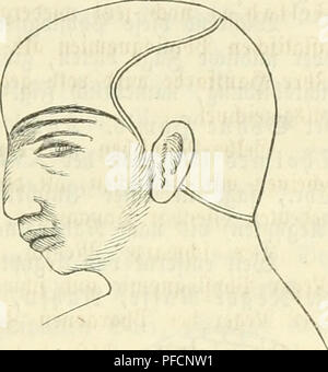 Ernst Haeckel, History of development, evolution, anthropogeny ...