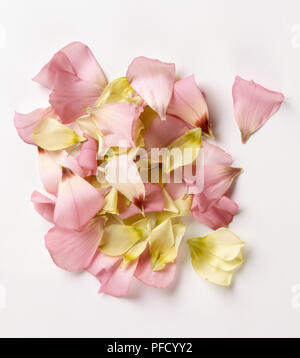 Close up of small pink flowers confetti bush coleonema pulchellum Stock ...