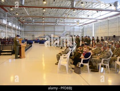 Col. Richard Nelson, 31st Operations Group commander, passes the guidon ...