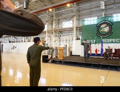 Col. Richard Nelson, 31st Operations Group commander, passes the guidon ...