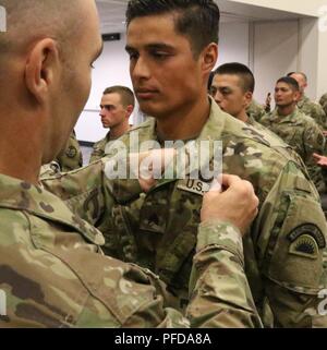 Soldiers from the 1/3 Battalion HHC Presidential Salute Battery, 3rd ...