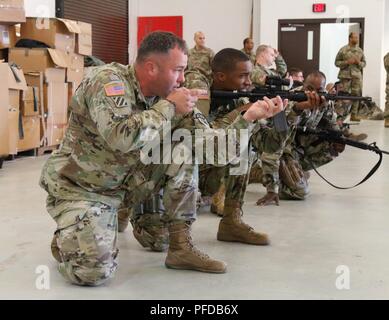 Soldiers assigned to HHC 201st Regional Support Group perform their ...