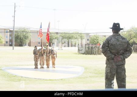 The Steel dragons bid farewell to not only their Commander Lt. Col ...