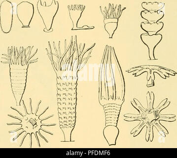 This work covers the modern science of oceanography, with a particular ...