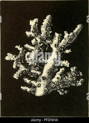 This work documents the scientific results of the dredging expeditions ...