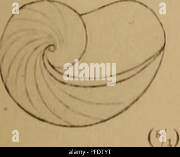 This volume from the Austrian Academy of Sciences presents scientific ...