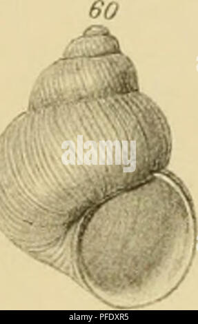 This image comes from the Austrian Academy of Sciences and depicts ...