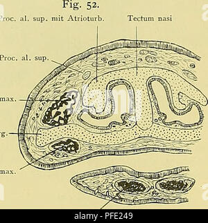 This scientific paper discusses the development and structure of the ...