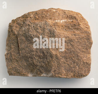 Lithic Sandstone (Sedimentary Rock Stock Photo - Alamy