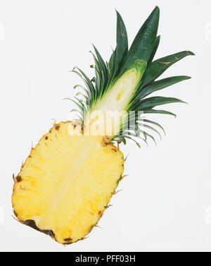 Pineapple cross section Stock Photo - Alamy