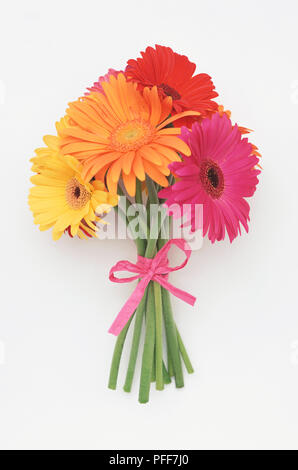 An orange ribbon tied on a green branch of a tree against the ...