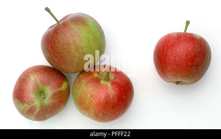 Four apples Malus domestica with red and yellow skin are stacked on a ...