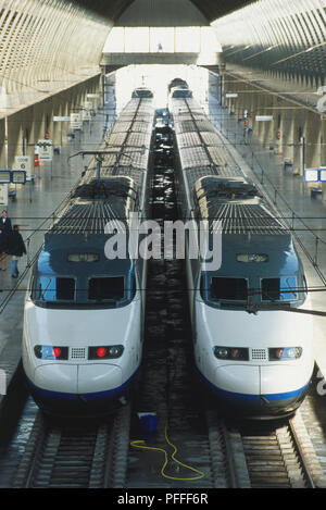 Two high-speed trains travel along parallel tracks in Beijing, China ...