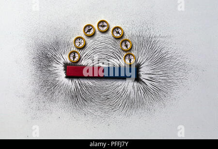 Iron filings and plotting compasses reveal the lines of magnetic force ...