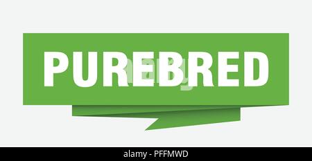 purebred sign. purebred paper origami speech bubble. purebred tag ...