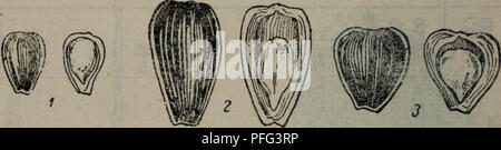 The Principles of Botany explores plant anatomy and development ...