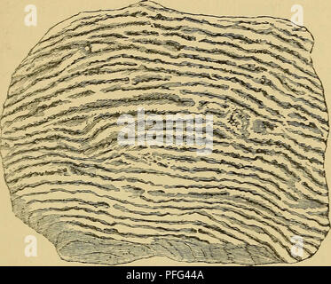 This work by Sir John William Dawson explores the earliest fossil ...