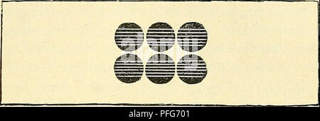 This work provides a detailed exploration of the microscope's theory ...