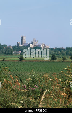 Ely Cathedral from fields Stock Photo - Alamy