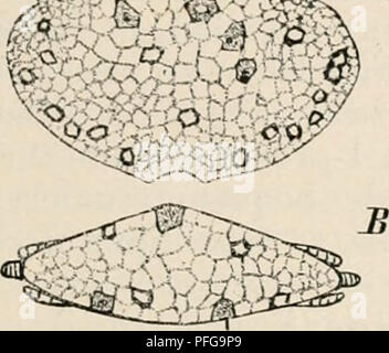 This practical guide to microscopic botany is aimed at both beginners ...