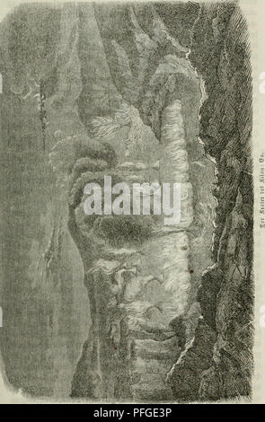 This work provides a description and history of the cosmos, examining ...