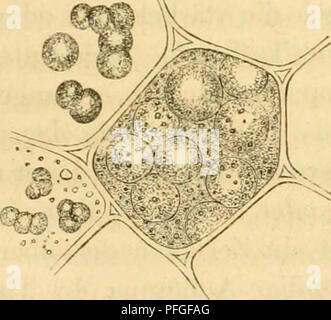 This work discusses the theory and application of microscopes ...