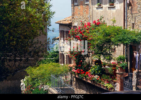 Flowers in Tuscany Countryside Stock Photo - Alamy