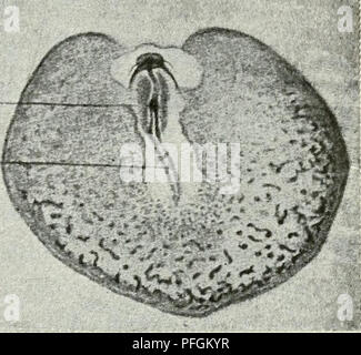 This periodical focuses on birds in Denmark, providing observations on ...