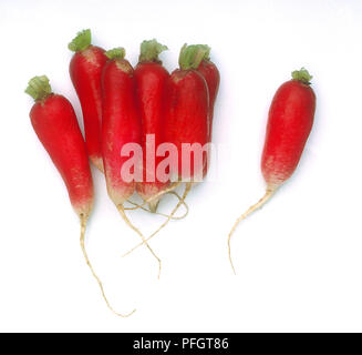Directly above shot of red radishes arranged on blue wooden table Stock ...
