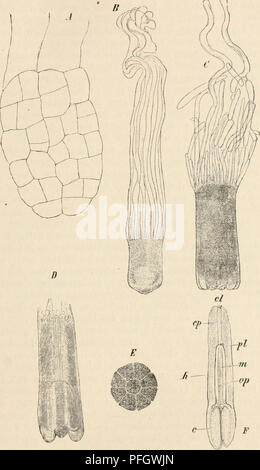 This guide provides instructions for the self-study of microscopic ...