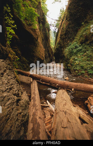 Narrow rocky gorge with shallow river winding between sculpted stone ...