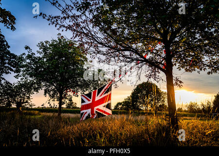 Union Jack flag stretched between trees Stock Photo - Alamy