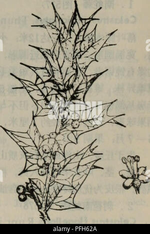 This text explores the flora of the Dalian region, offering a detailed ...