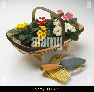 Pair of gardening gloves on wooden planks with green plants. vertical ...