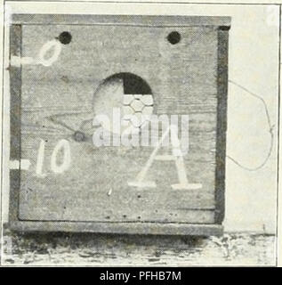 A Danish ornithological journal documenting bird species in Denmark ...