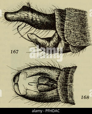 This illustration from Danmarks fauna focuses on the species of ...
