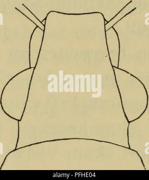 A scientific section on agricultural entomology and parasitology ...