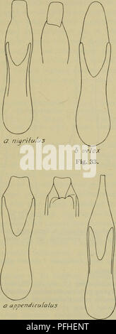 This illustrated guide to Danish fauna provides detailed descriptions ...