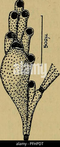 This illustrated guide details the diverse animal species found in ...