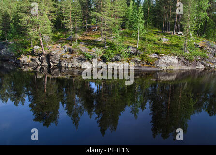 Wooded shore of a large lake. Forests along the coast. Kola Peninsula ...