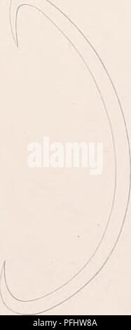 The Danish Ingolf Expedition (1895-1896) explored marine life in the ...