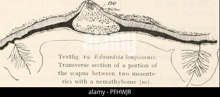 This image documents the Danish Ingolf Expedition, focusing on marine ...