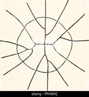 The Ingolf Expedition (1895-1896) conducted scientific research in the ...