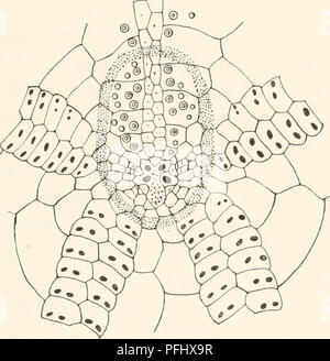 The Danish Ingolf Expedition conducted extensive research on marine ...