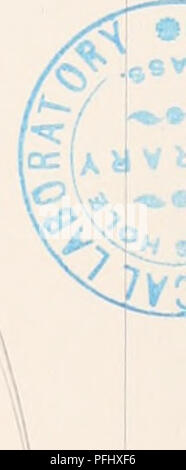 This illustration documents the Danish Ingolf Expedition (1895-1896 ...