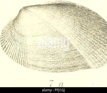 The Danish Ingolf Expedition, conducted between 1895 and 1896, focused ...