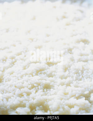 Rice grains close up Stock Photo - Alamy