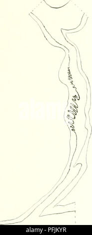 The Danish Ingolf Expedition explored marine life in the Arctic regions ...