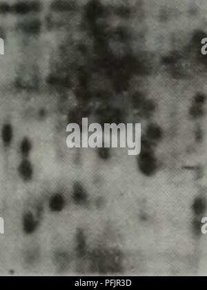 . dan bai zhi zu xue dao lun sheng wu xue de xin gong ju. botany ...