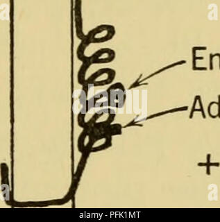 Plasma Membrane Of Cell With other molecules, 3d render Stock Photo ...
